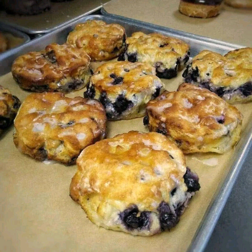 Blueberry Biscuits Recipe – aboutbackpacks